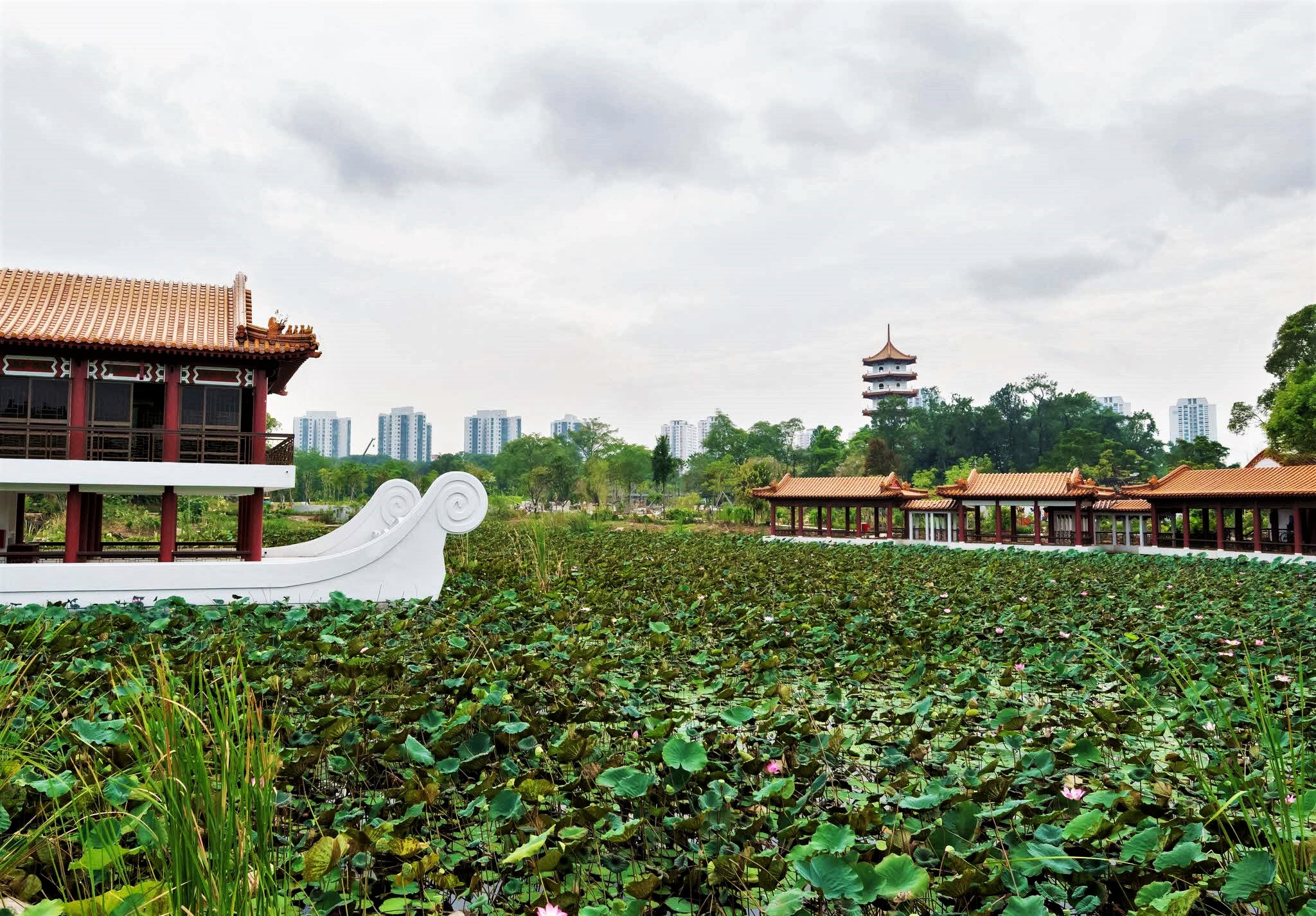Visit Jurong Lake Gardens