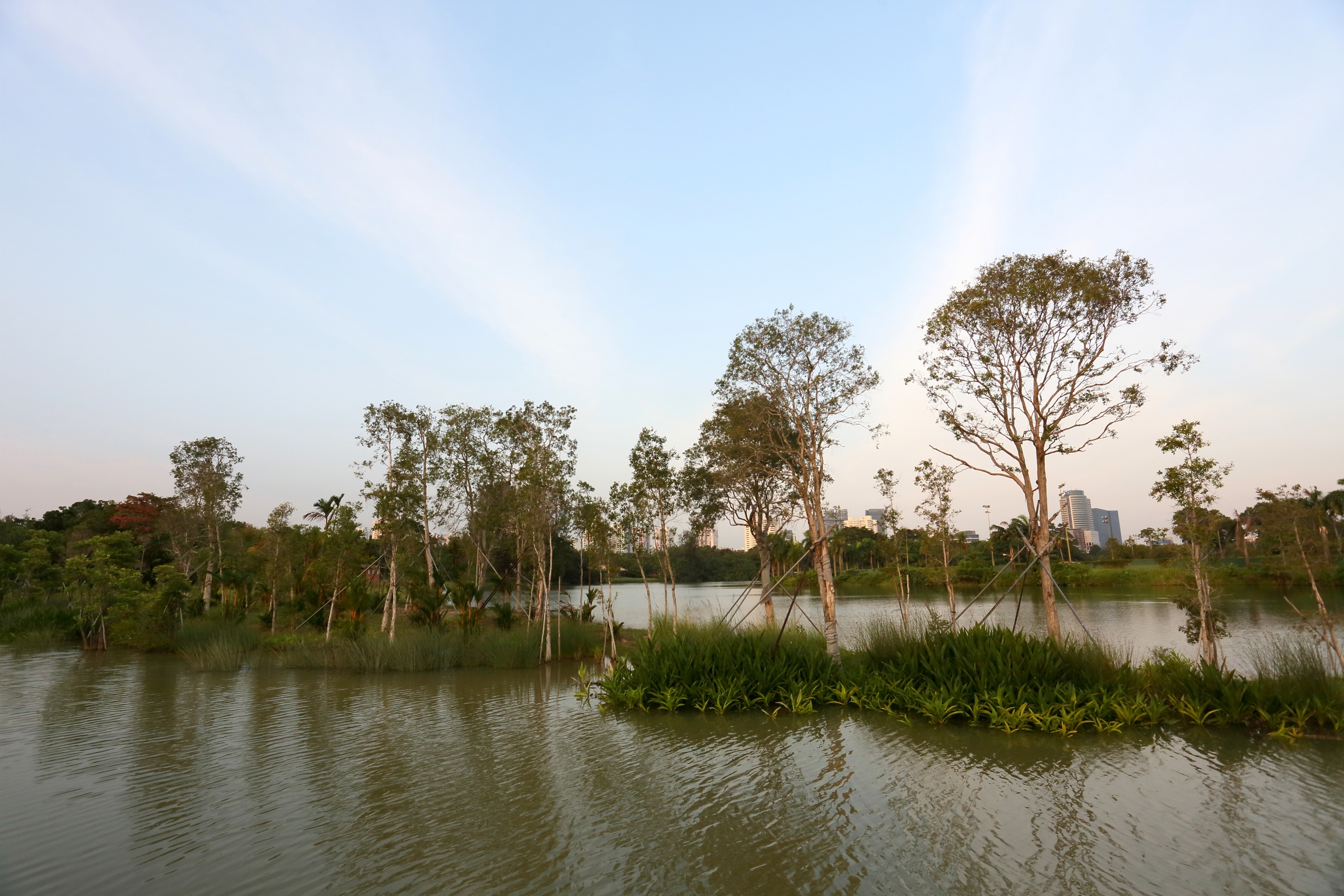 Alstonia Island & Freshwater Swamp Forest