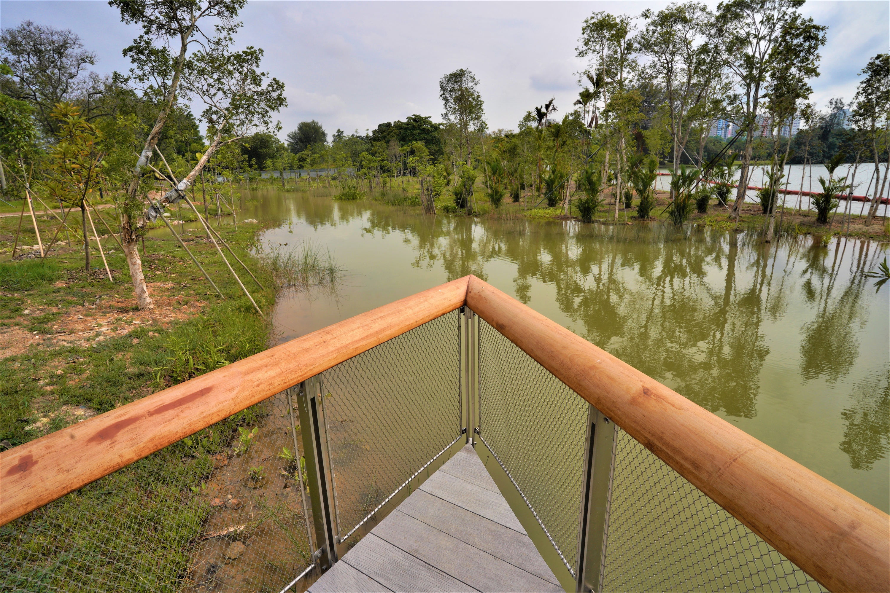 Alstonia Island & Freshwater Swamp Forest