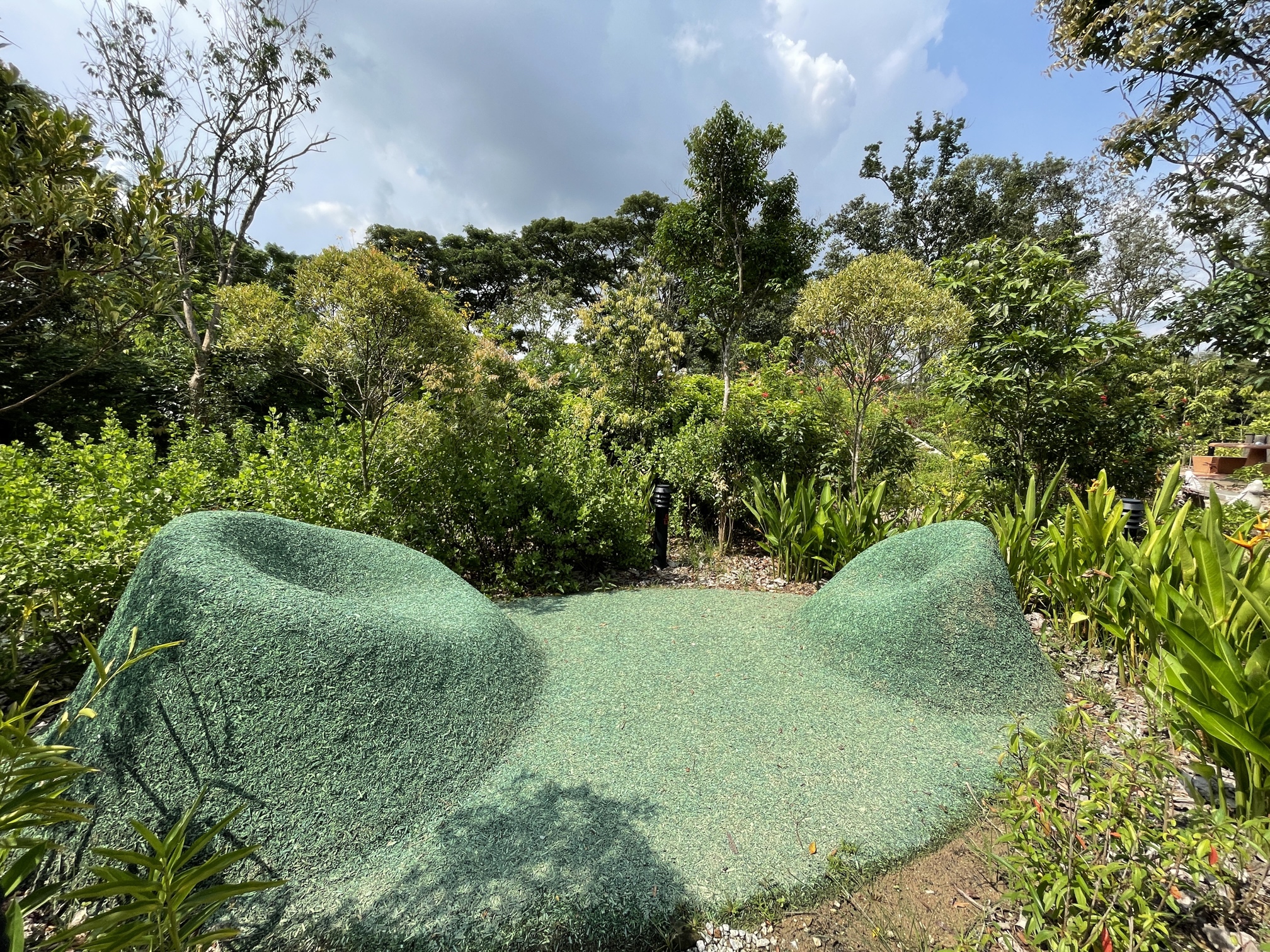 Butterfly Maze