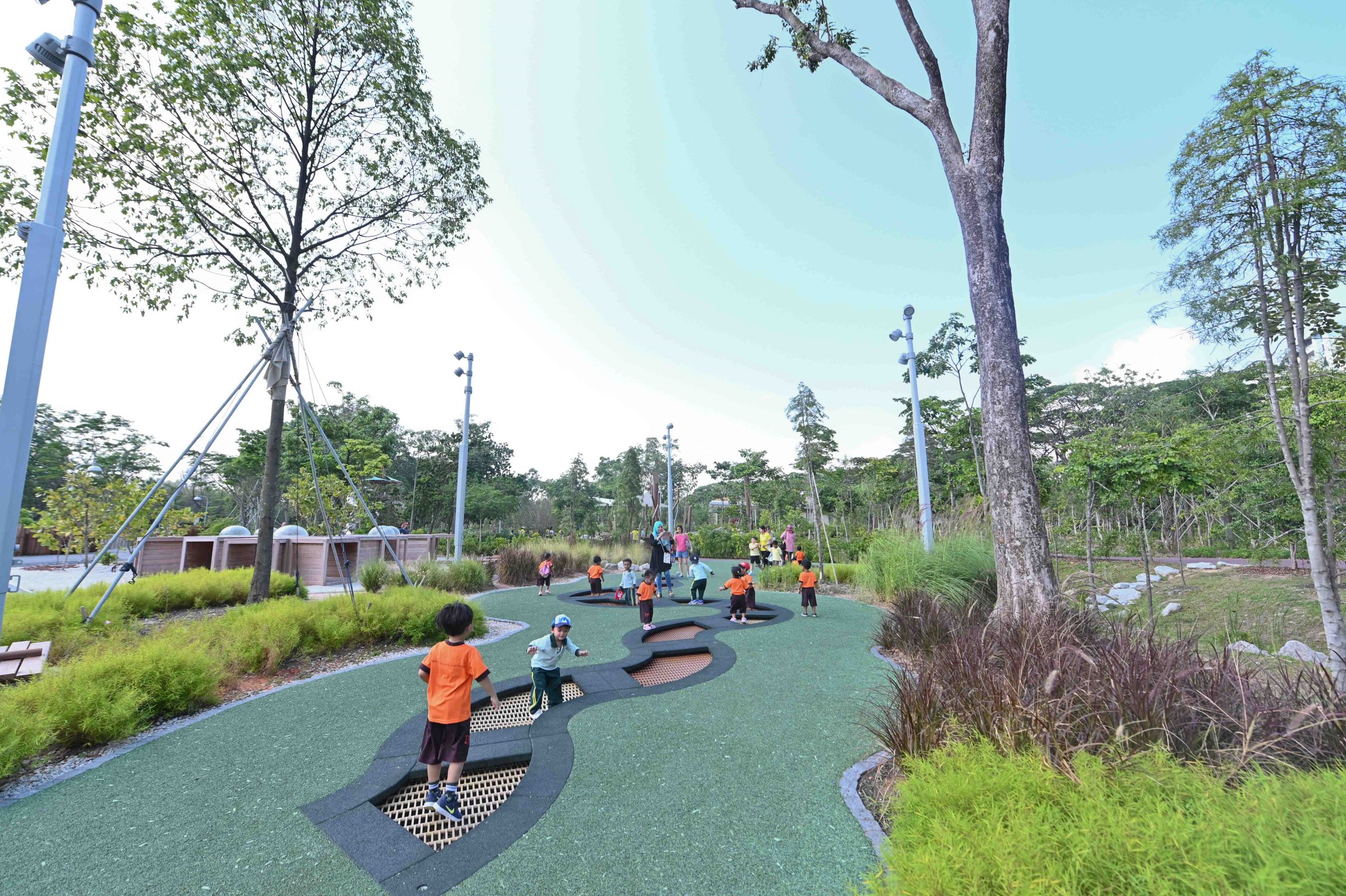 Forest Ramble (Nature Playgarden)