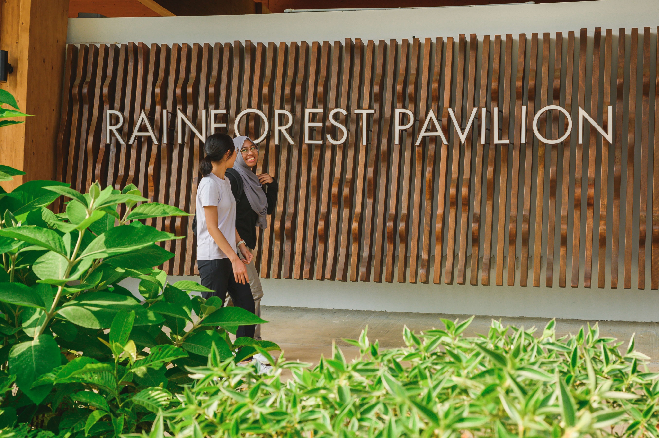 Rainforest Pavilion